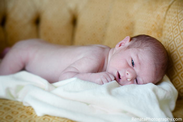 Bellies & Babies » For the Love of Beauty Blog
