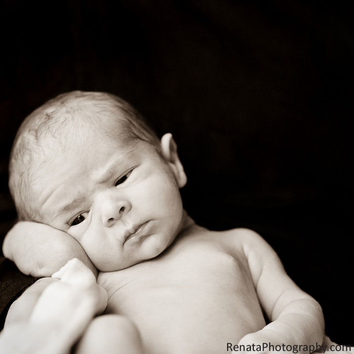Bellies & Babies » For the Love of Beauty Blog